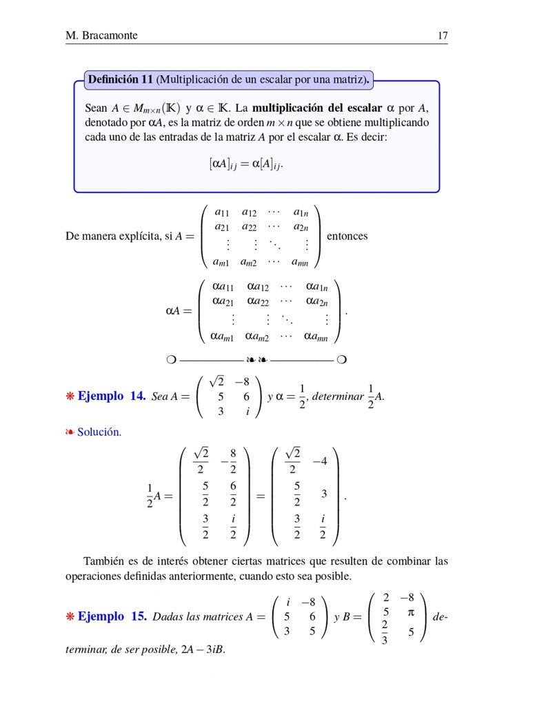Matrices – Álgebra Lineal