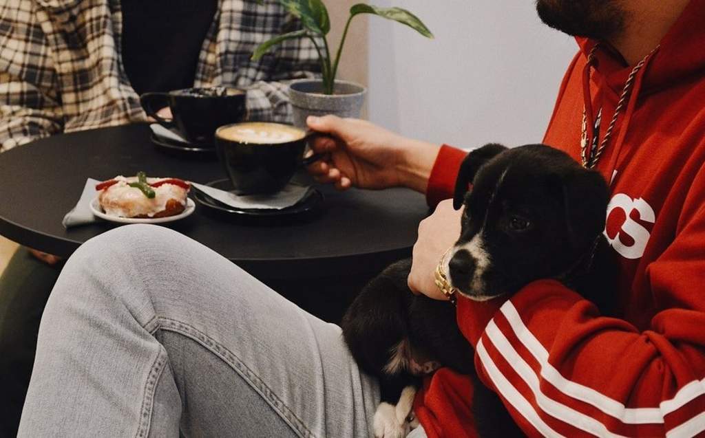 ¿Qué es Pet Friendly? | Enter – aplicaciones, ciencia y utilidades