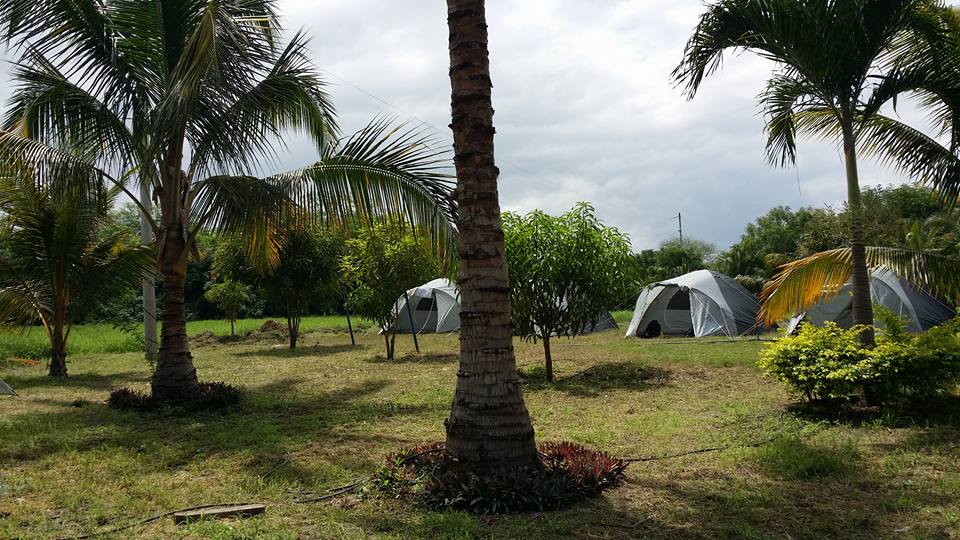 Grupo Scout #22 PVN » Progreso