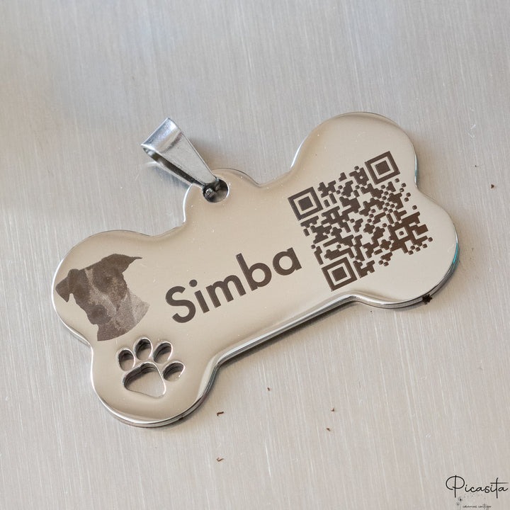 Placas y Chapas para Perros: Sellando el Vínculo con Identidad, Estilo ...