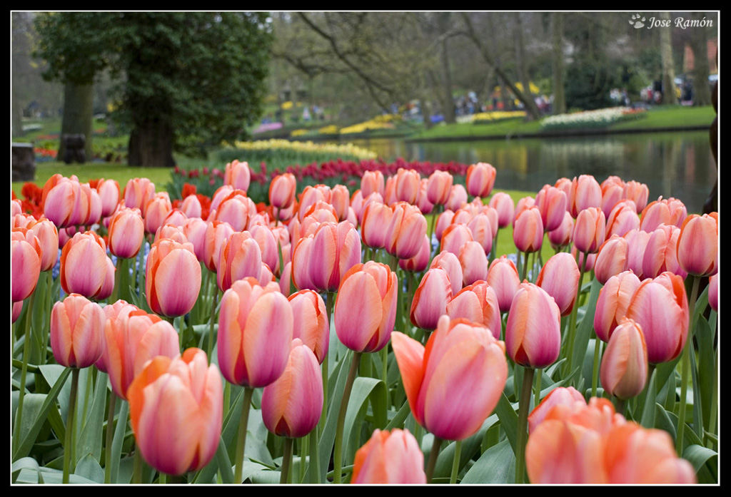 PriskaVC » Uncategorized