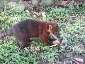 SiLeDe » Lugares turísticos